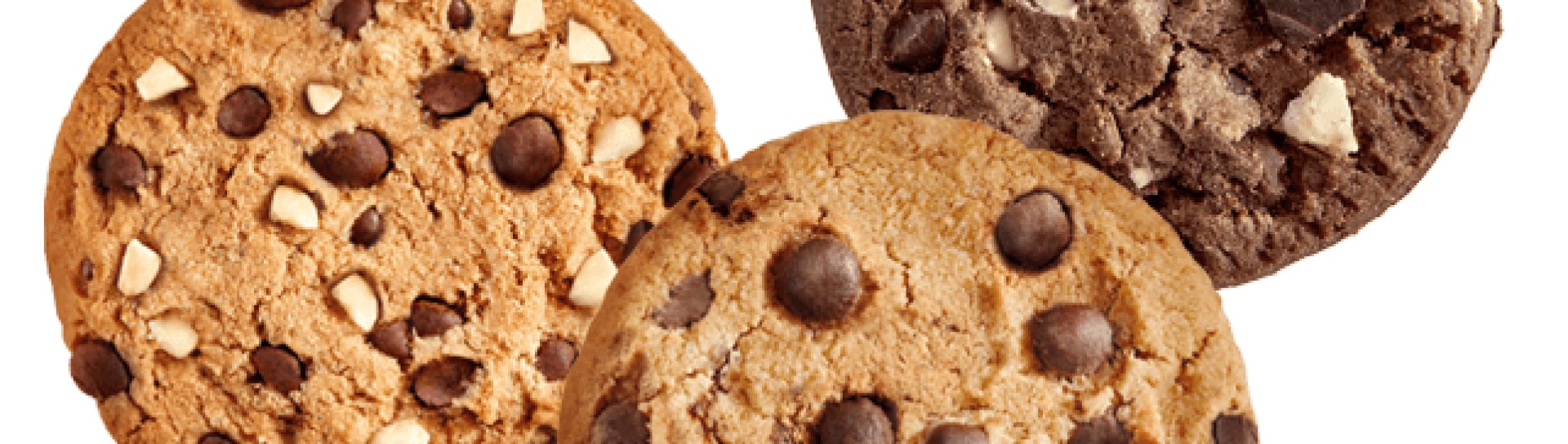 La Biscuiterie | Delacre